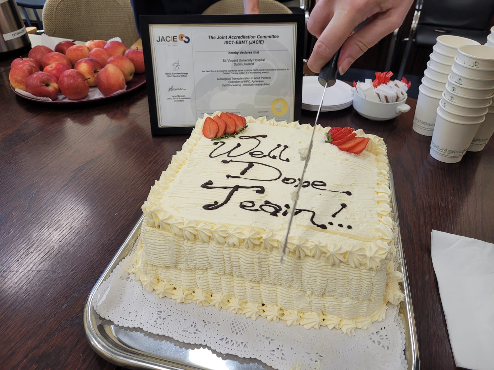 St. Vincent's University Hospital Stem Cell Transplant Programme ...